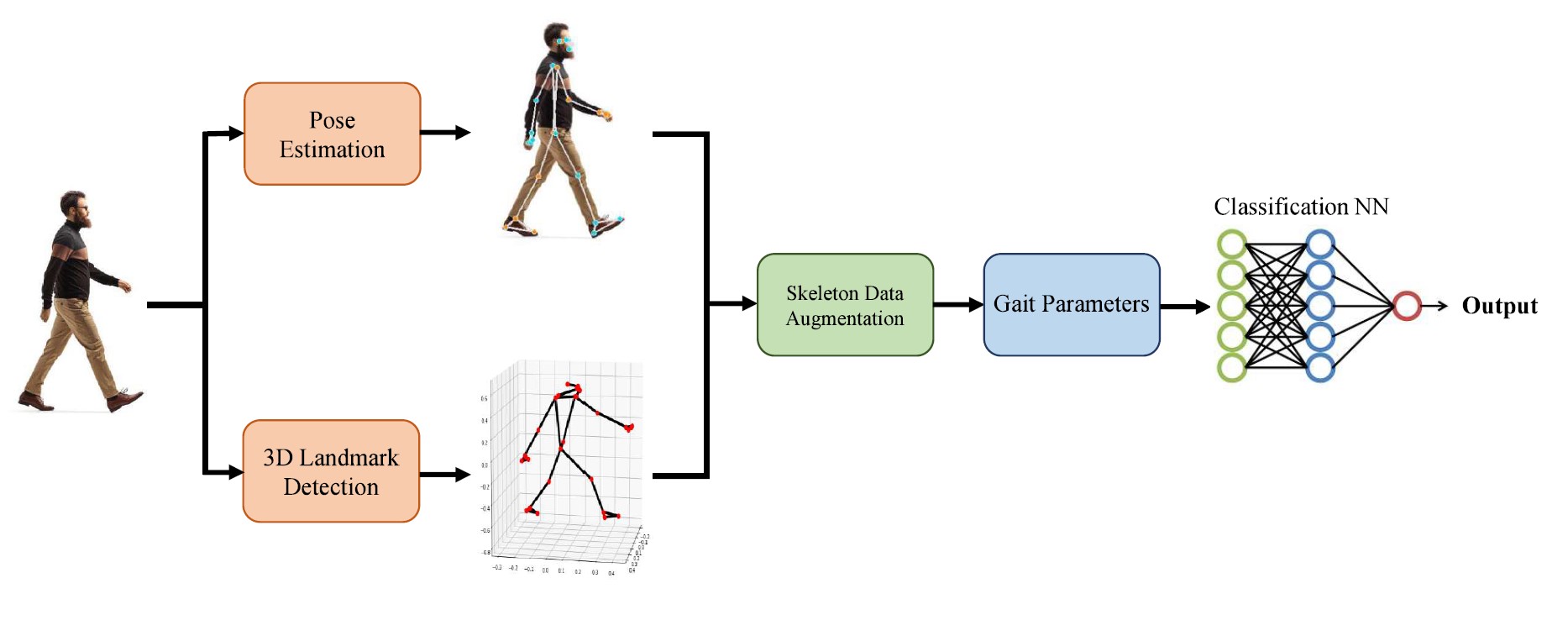 Diagnosis of Cerebellar Ataxia Based on Gait Analysis Using Human Pose Estimation: A Deep ...