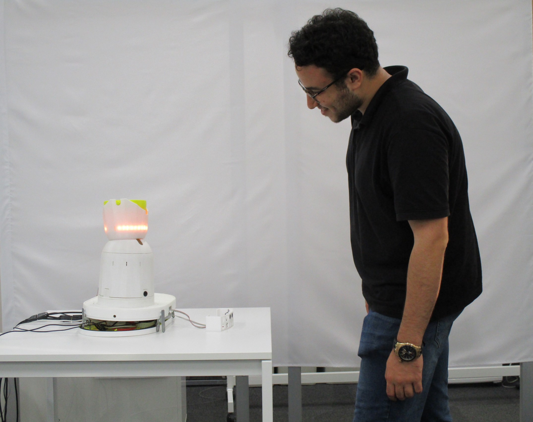 Cultivating Expressivity and Communication in Robotic Objects: An ...